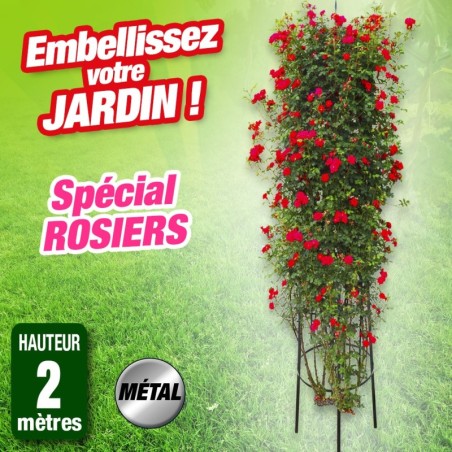 Tuteur en colonne pour rosier et autre plante grimpante, en métal ...