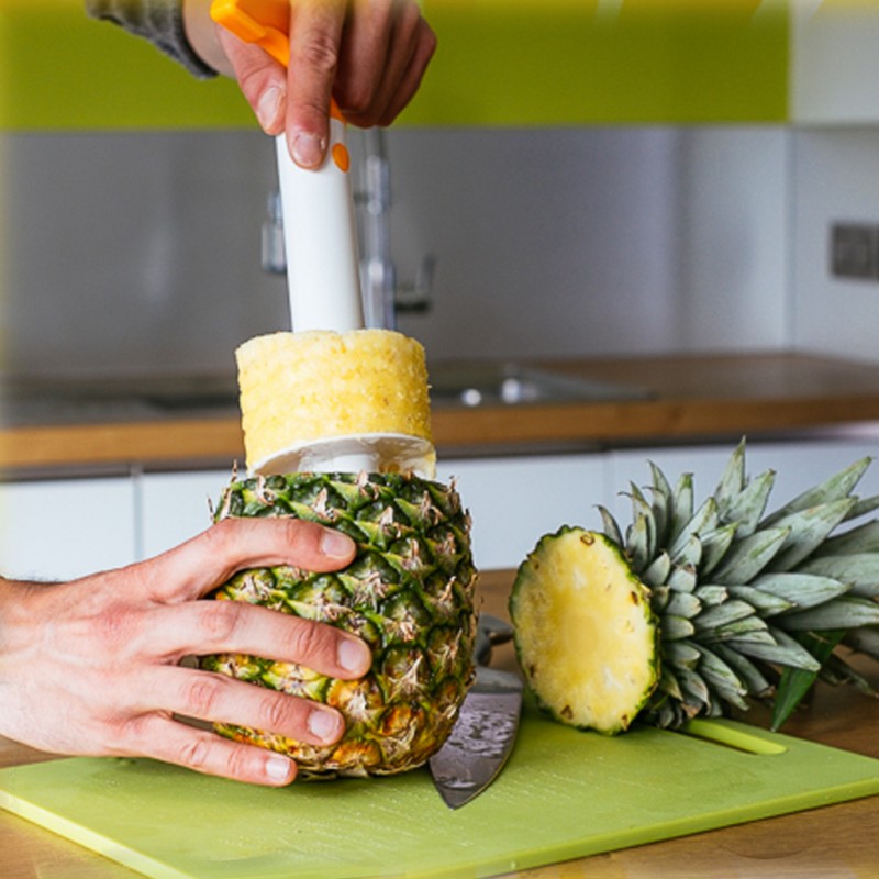 Tranche ananas plastique | Equipement de la maison | Aménager son ...